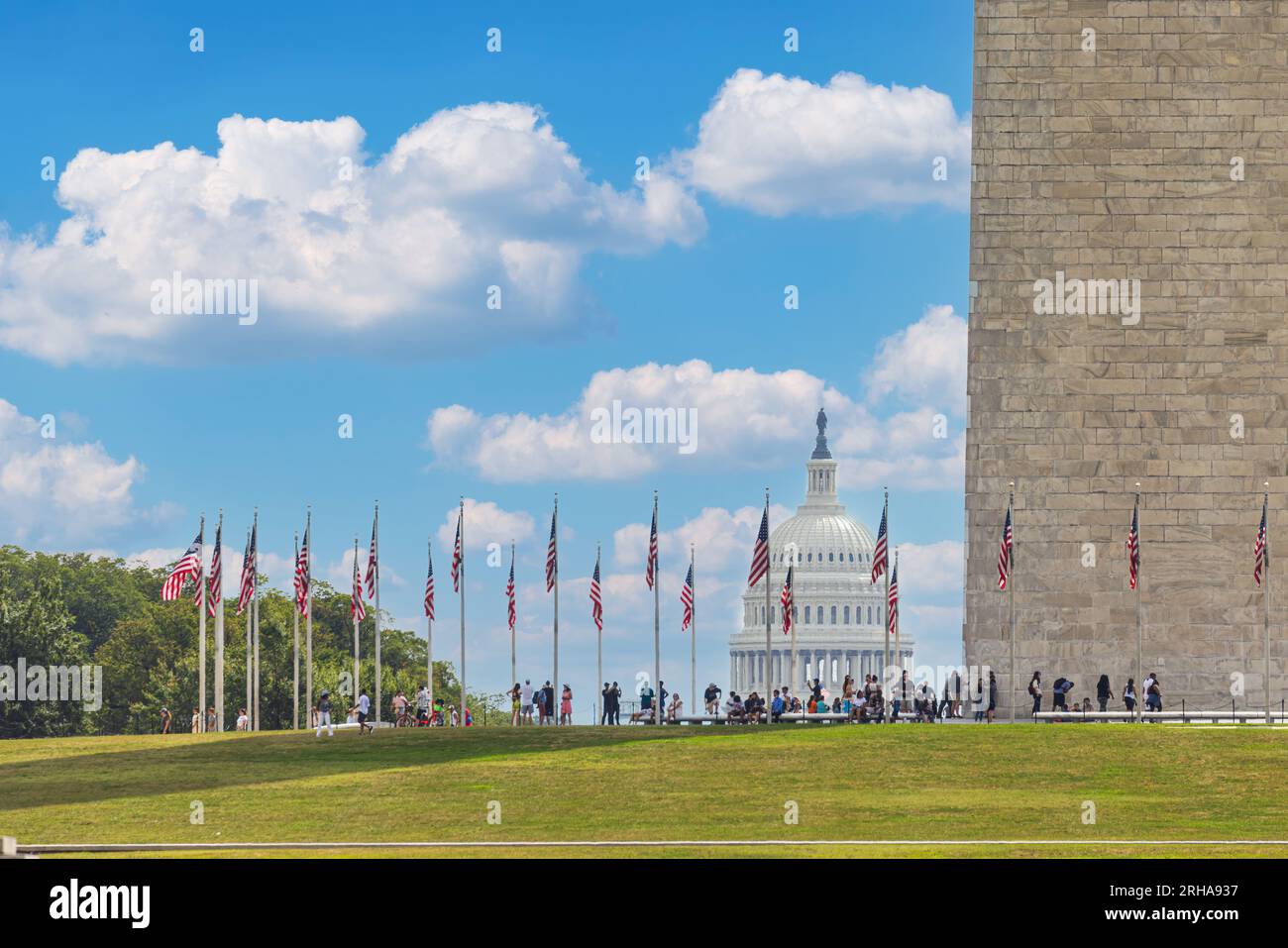 American flags at sunny day and Capitol Building in background in ...