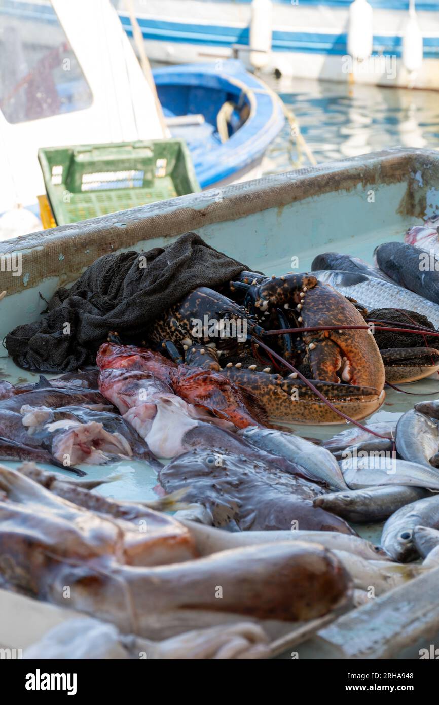 Catch of the day for sale on daily fish market in old port of Marseille ...