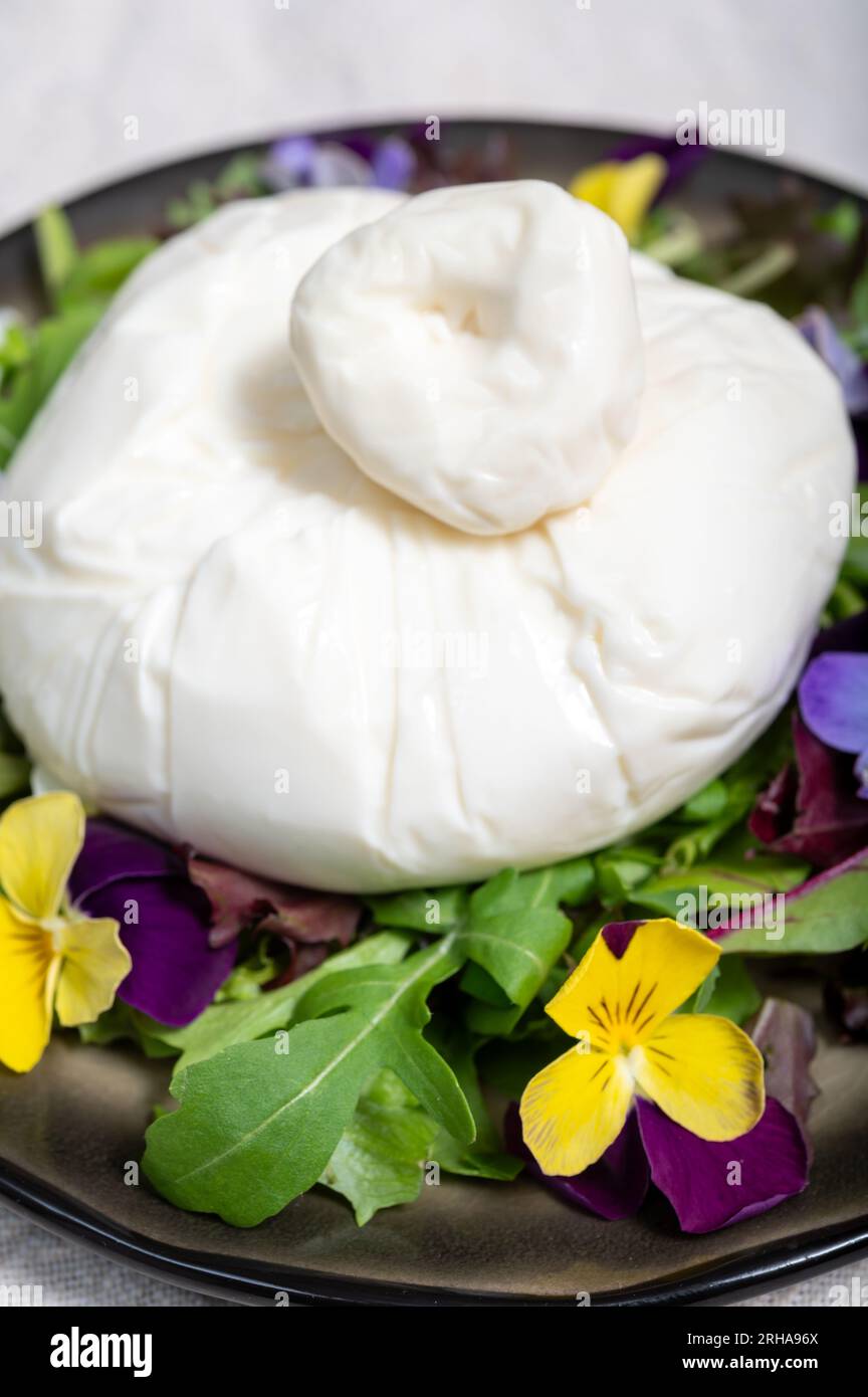 Fresh handmade soft Italian cheese from Puglia, white ball of burrata ...