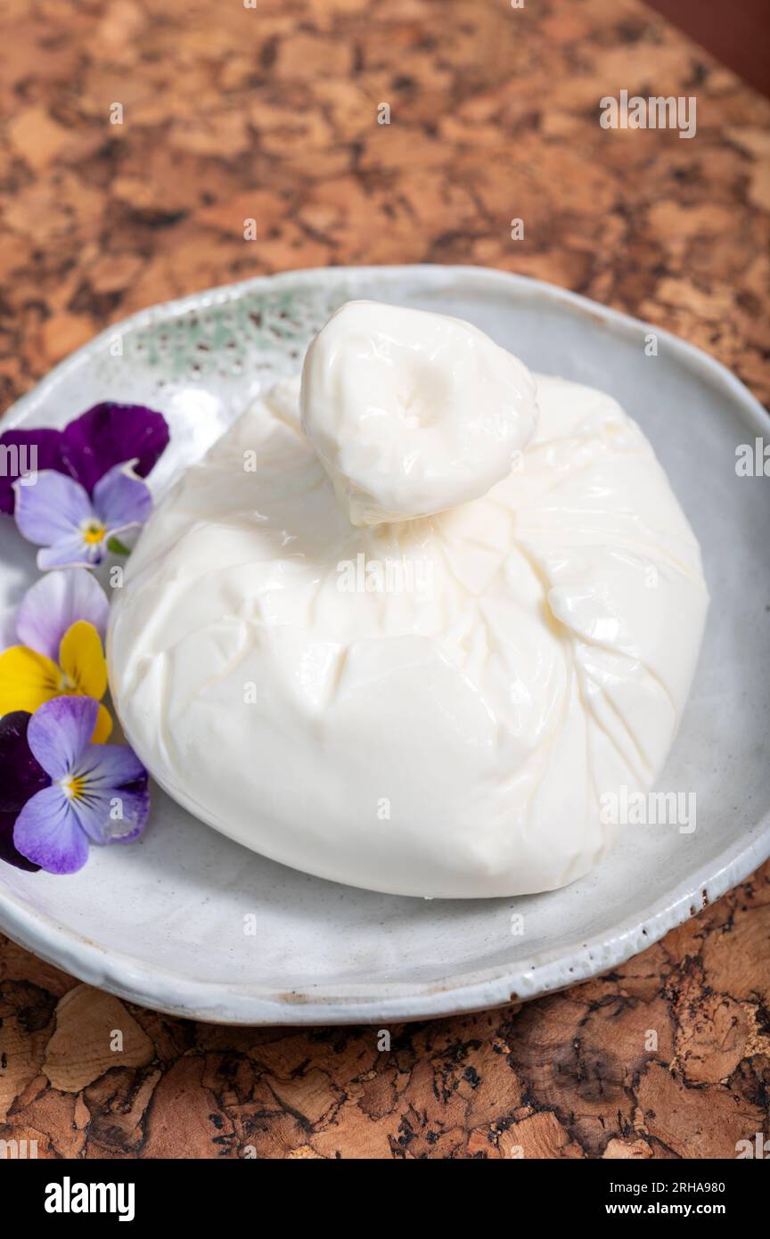 Fresh handmade soft Italian cheese from Puglia, white ball of burrata ...
