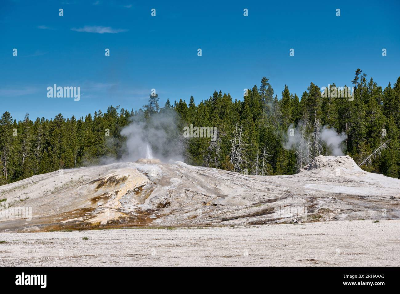 Lion Geyser group, Upper Geyser Basin, Yellowstone National Park ...