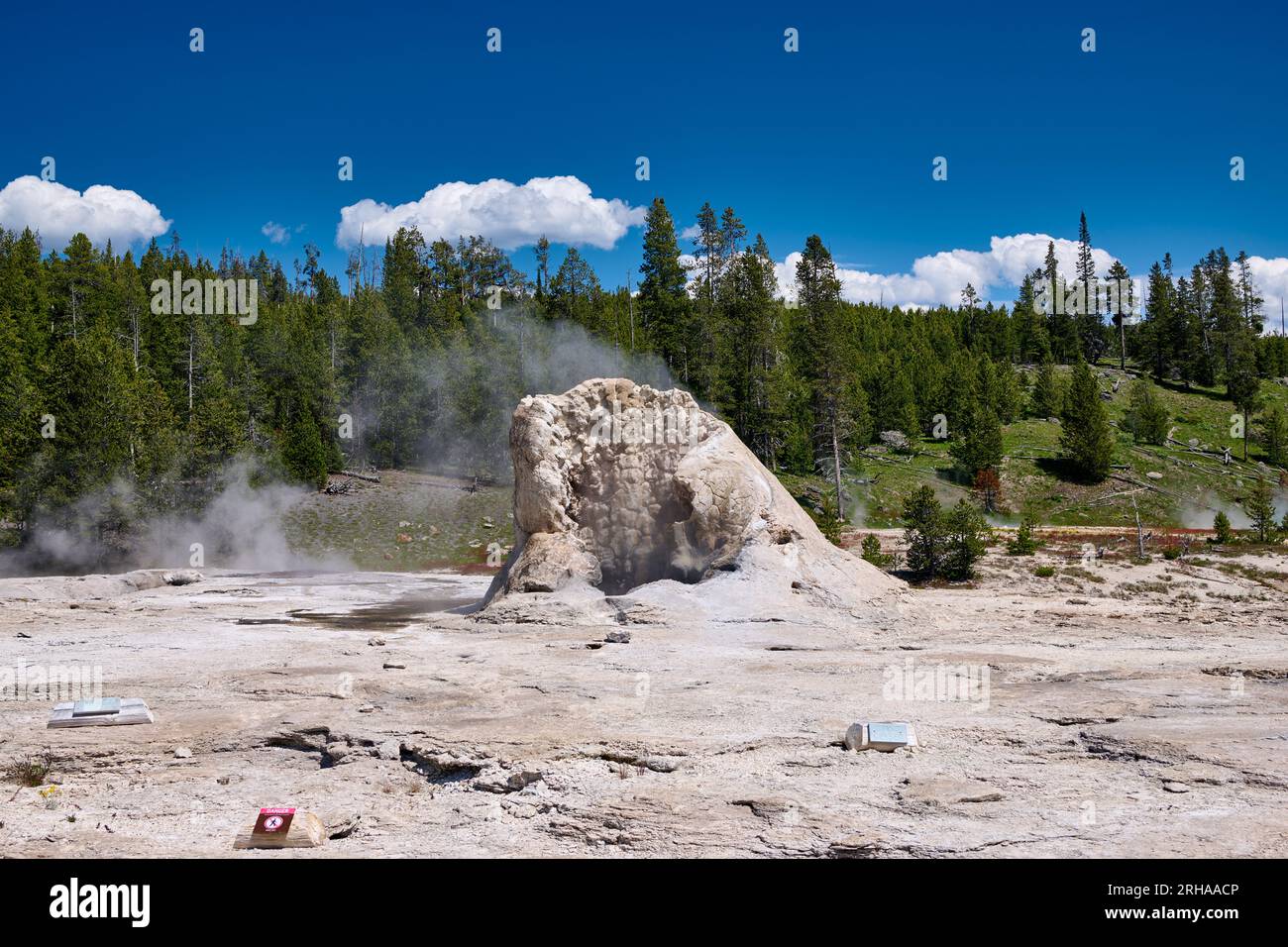 Giant Geyser, Upper Geyser Basin, Yellowstone National Park, Wyoming ...