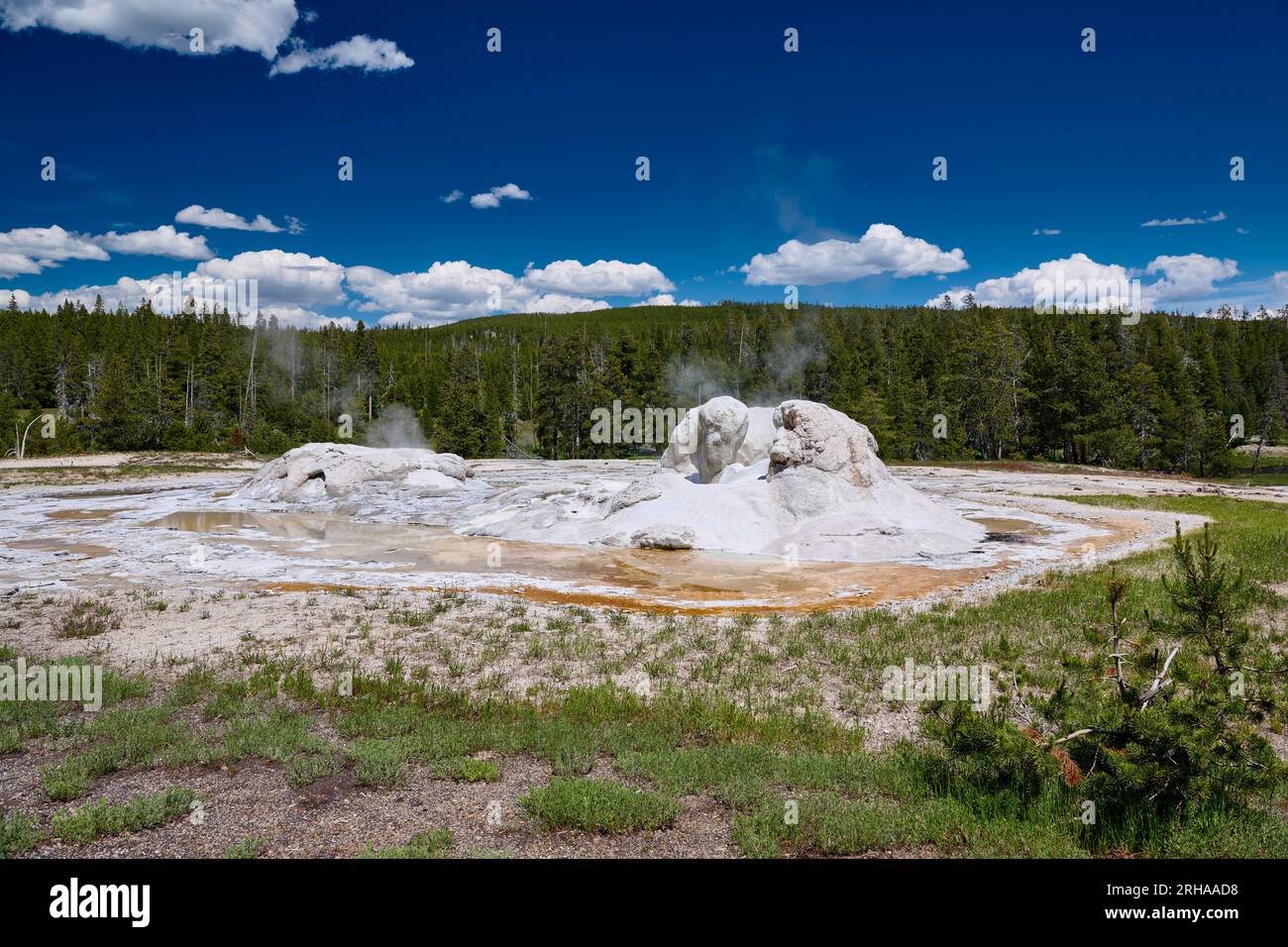 Grotto Geyser, Upper Geyser Basin, Yellowstone National Park, Wyoming ...