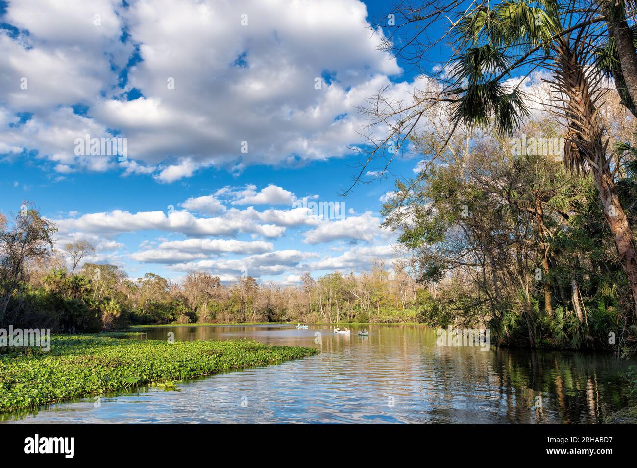 Beautiful Wekiwa Springs State Park, lake and tropical forest at sunset ...