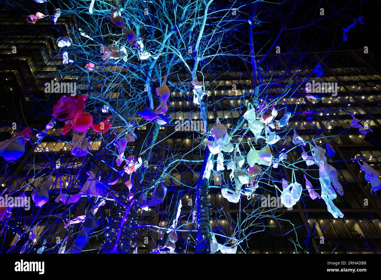 Hanging bras hi-res stock photography and images - Alamy
