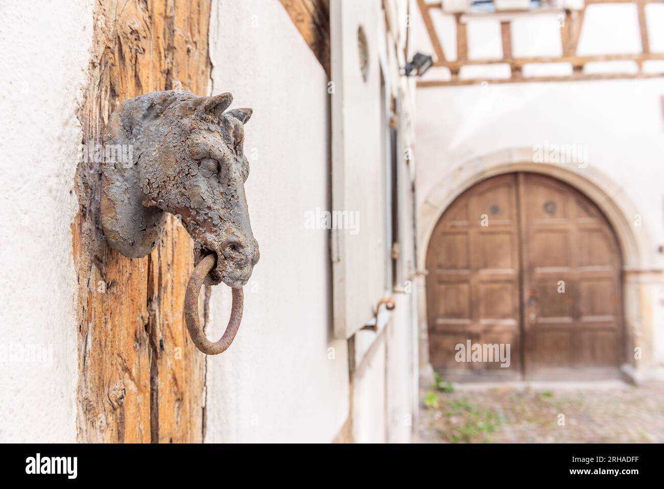 Old rusty horse's head with a ring for tying horses in a backyard ...