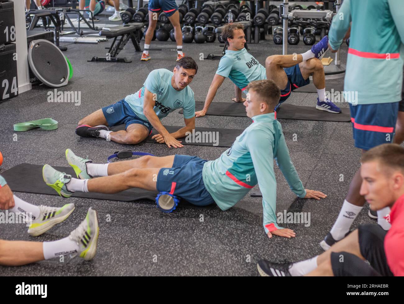 Hjalmar ekdal hi-res stock photography and images - Alamy