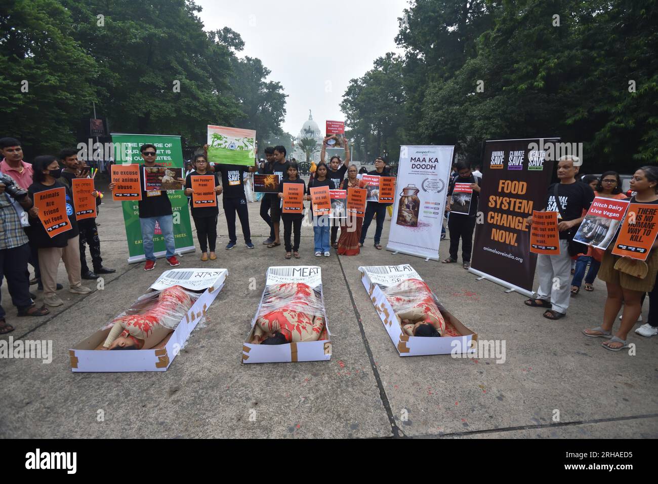 August 15, 2023, Kolkata, India. Animal lover activists hold a protest ...