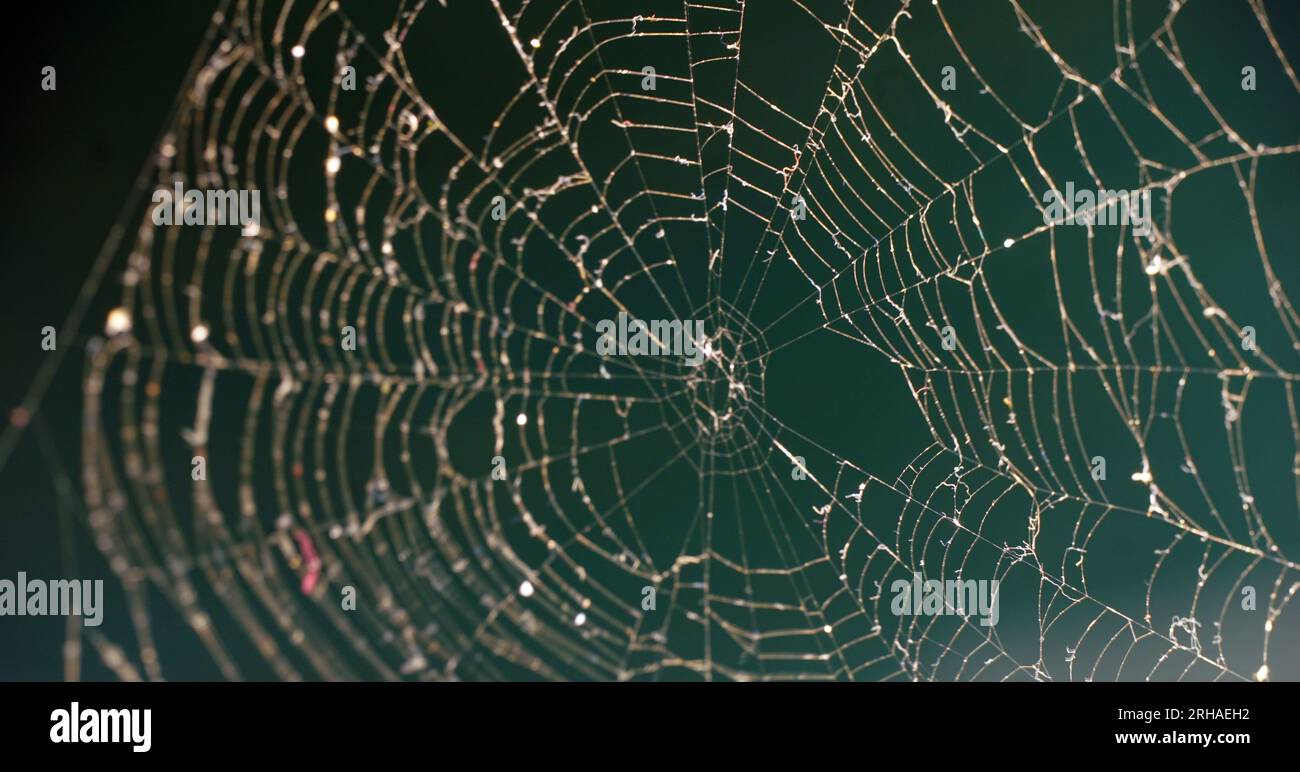 Triangle horror cobweb or spider web isolated on black background ...