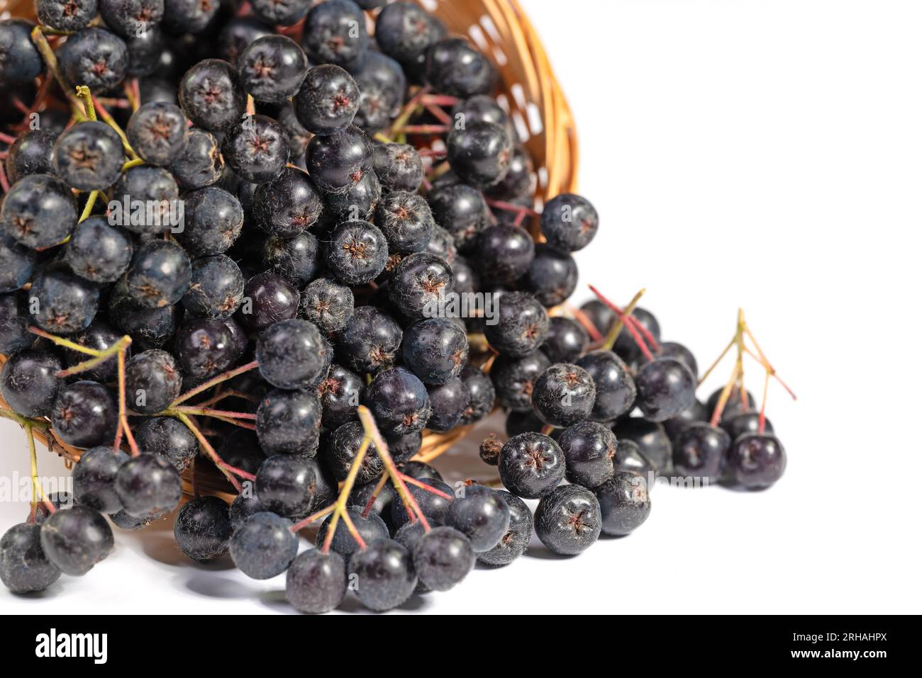 Aronia berries isolated against white background Stock Photo - Alamy