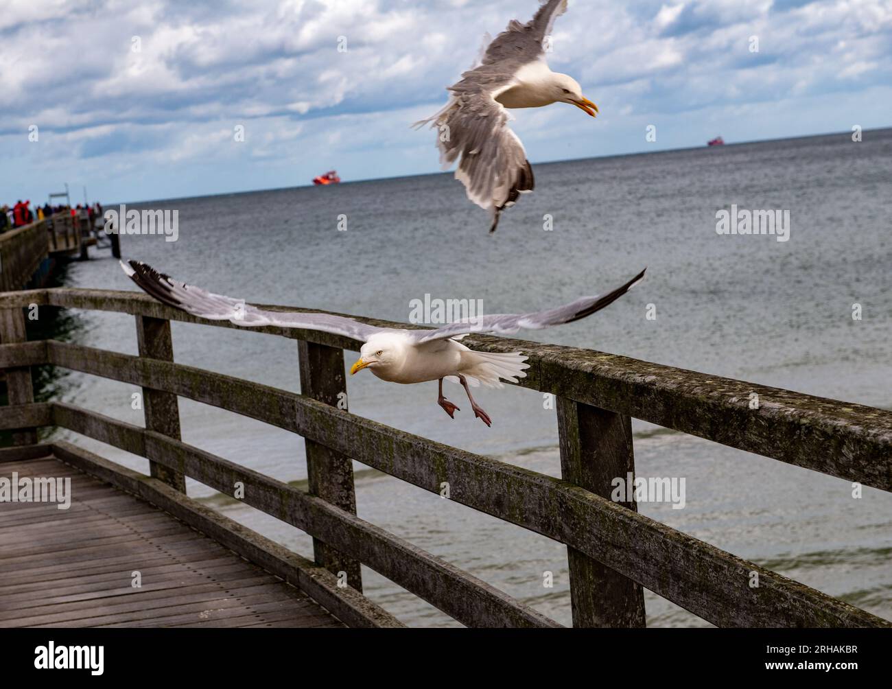 Two seaguls fly over a pier in the baltic sea Stock Photo - Alamy