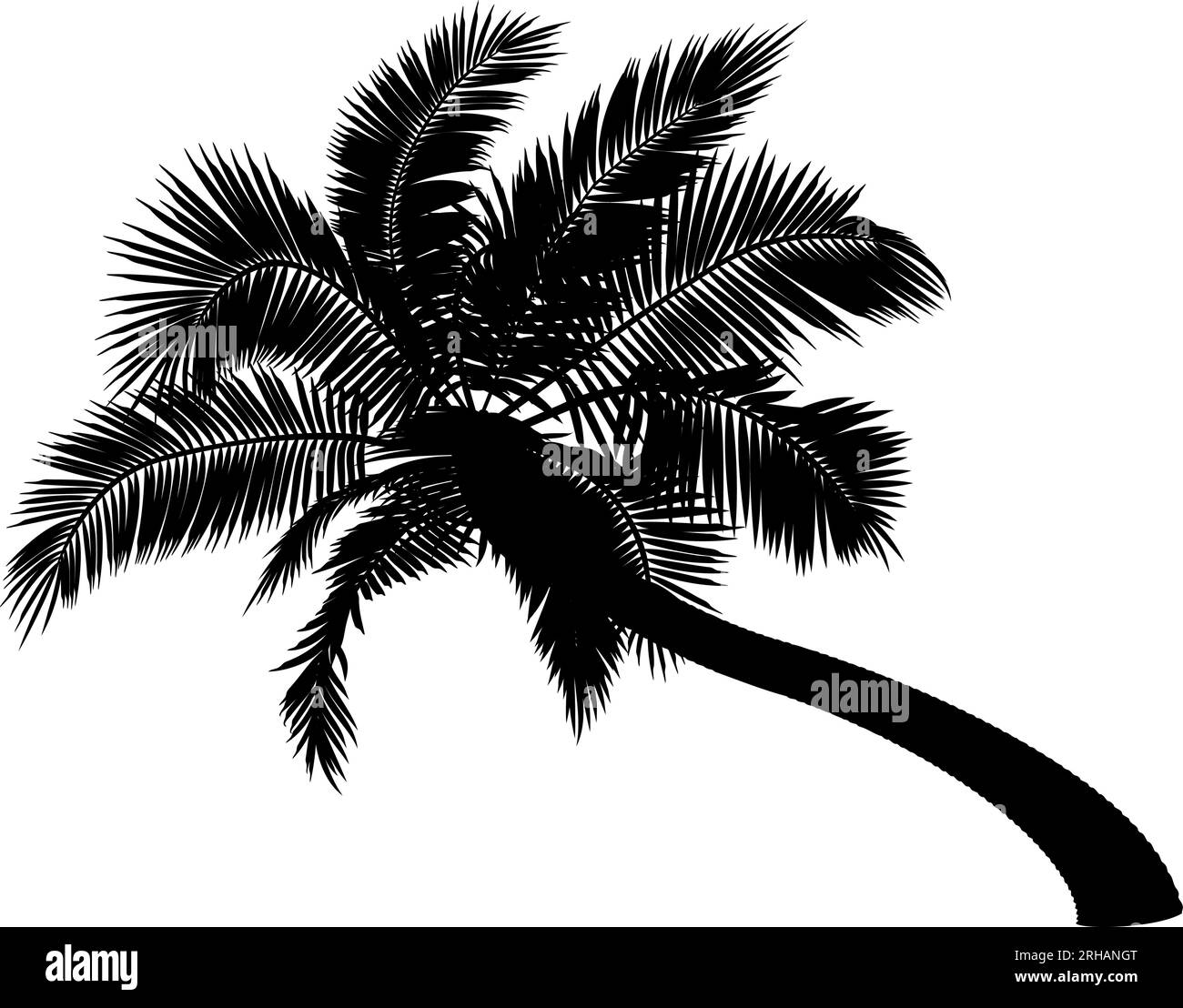 Shape of bent coconut palm tree. Vector illustration of leaning palm ... Shape of bent coconut palm tree. Vector illustration of leaning palm ...