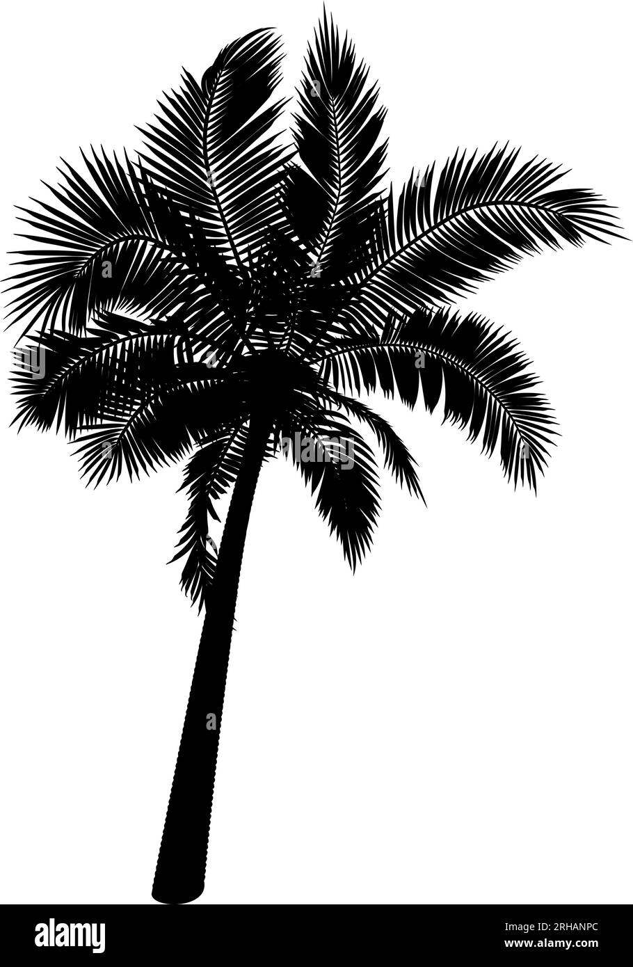 Shape of straight coconut palm tree. Vector illustration of palm tree ...