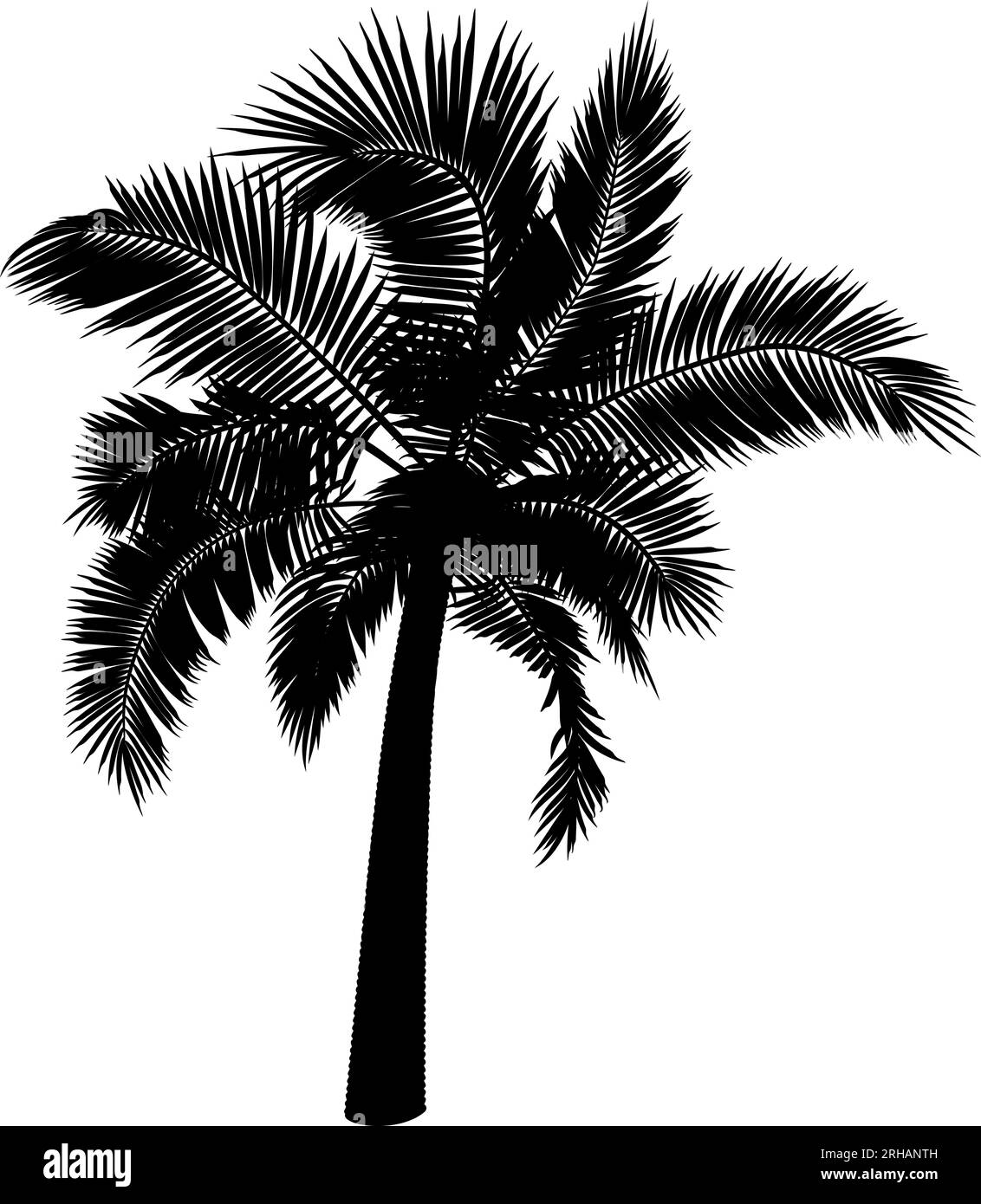 Shape of straight coconut palm tree. Vector illustration of palm tree ... Shape of straight coconut palm tree. Vector illustration of palm tree ...