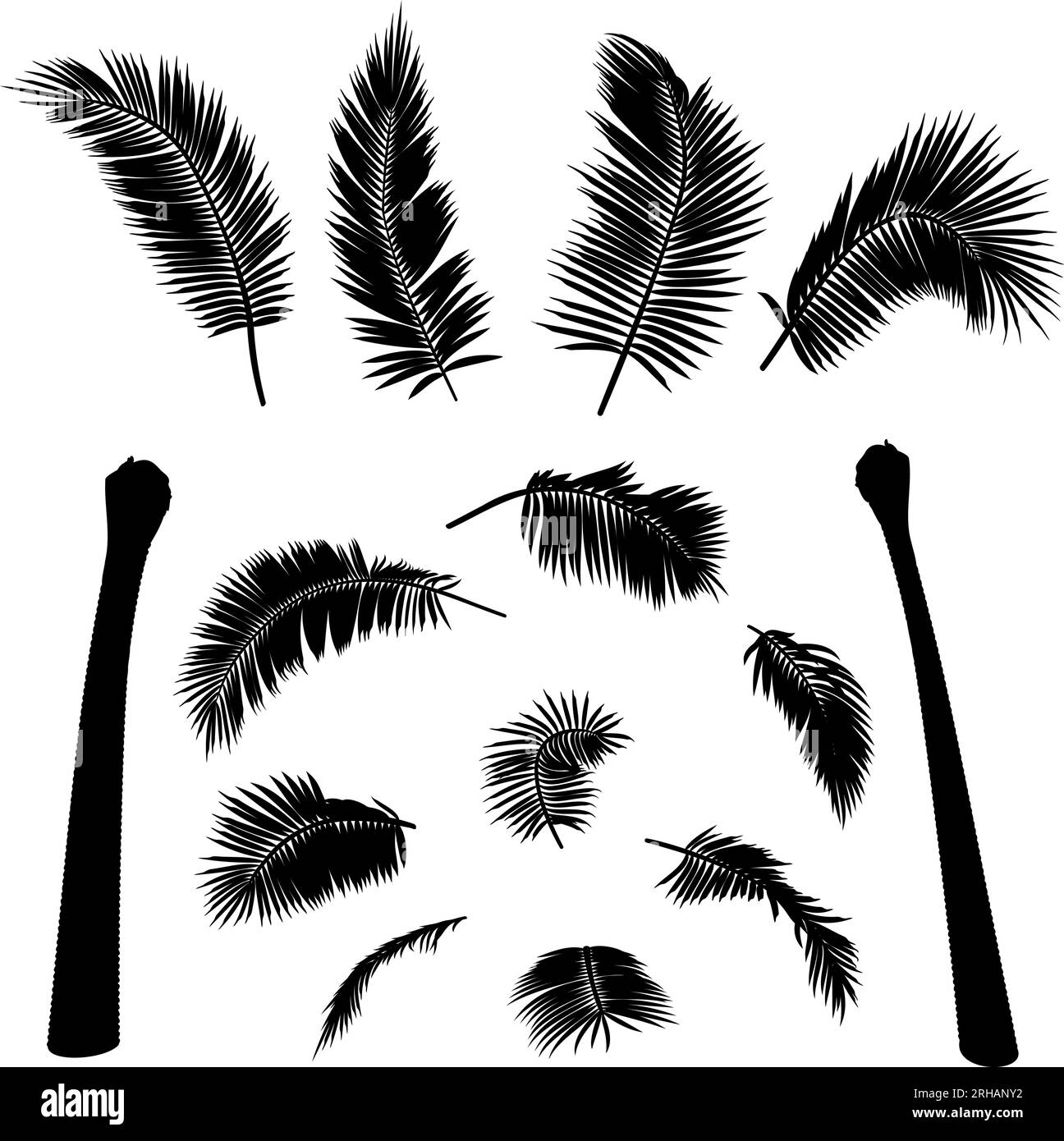 Shape of straight coconut palm tree elements. Vector illustration of ...
