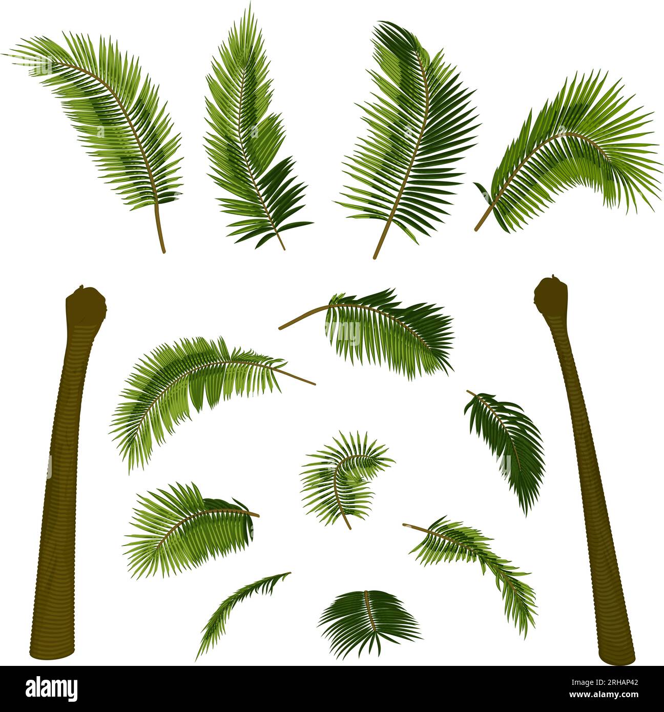 Coconut straight palm tree elements. Vector illustration of palm tree ...