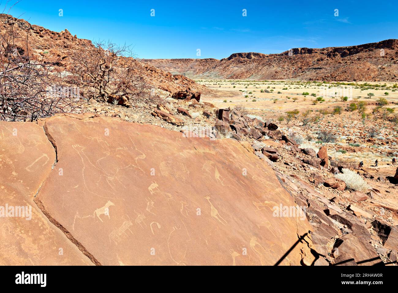 Namibia. Prehistoric rock engraving in Twyfelfontein archaeological ...