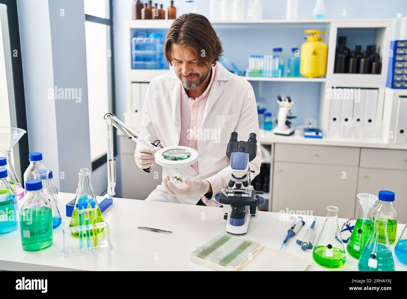Middle age man scientist looking plant with loupe at laboratory Stock ...