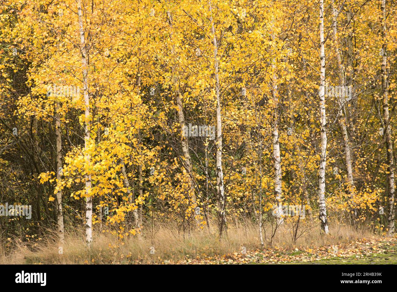 Granville colliery hi-res stock photography and images - Alamy