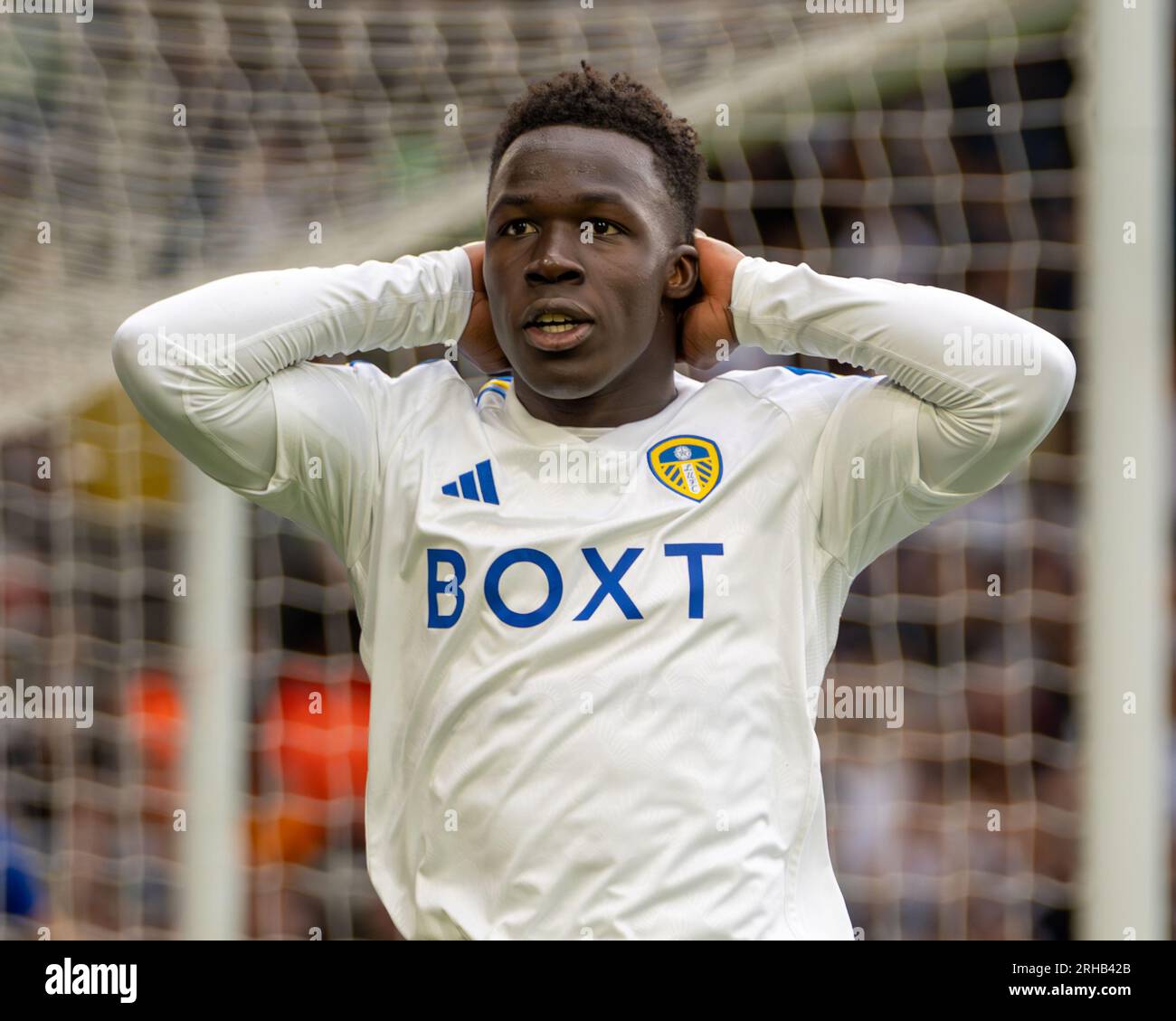 Wilfried gnonto hi-res stock photography and images - Alamy