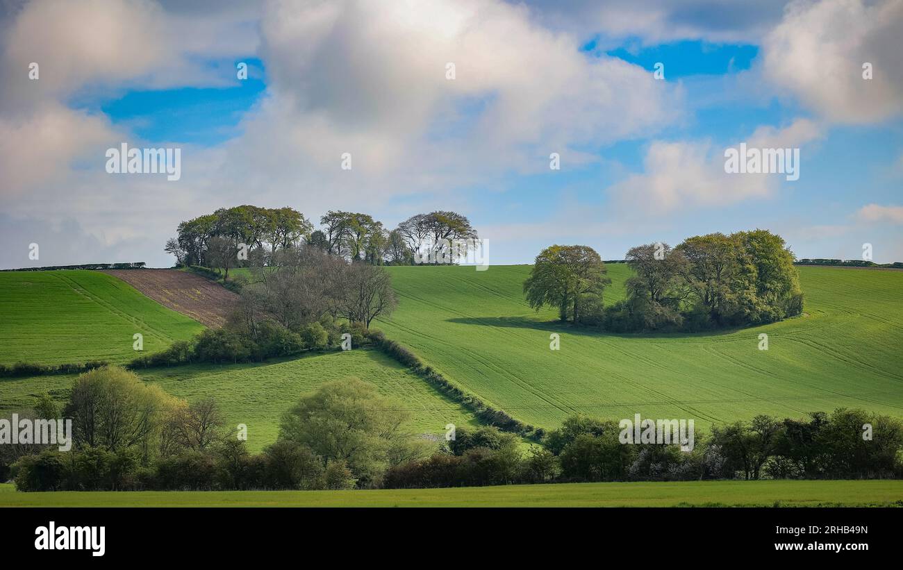A sunny day in the Lincolnshire Wolds showing undulating terrain with ...