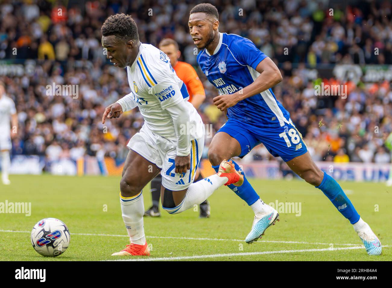 Gnonto adams hi-res stock photography and images - Alamy