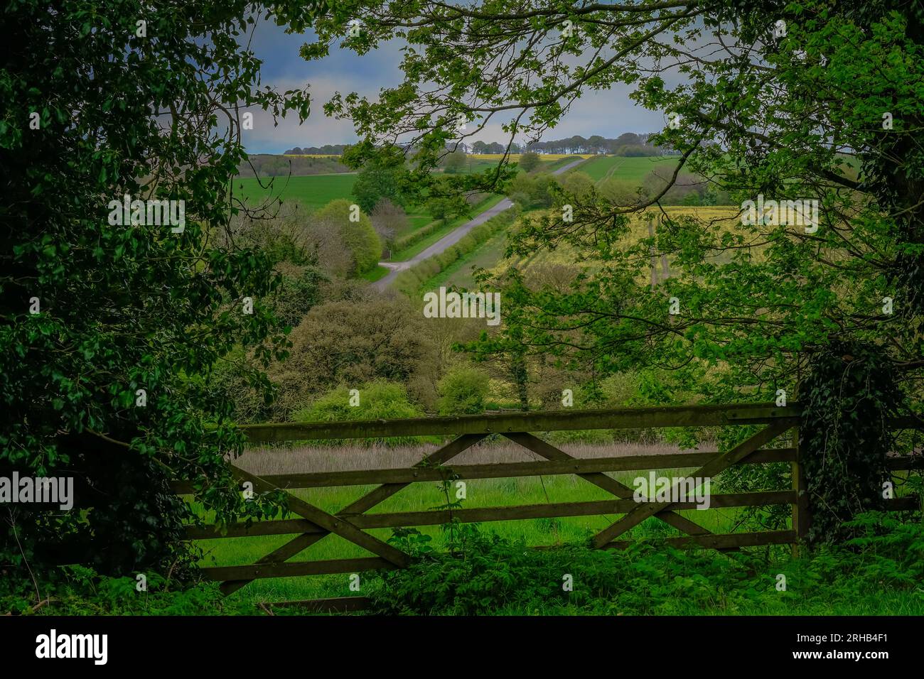 A view over a five bar gate across a green valley. Image is framed by ...