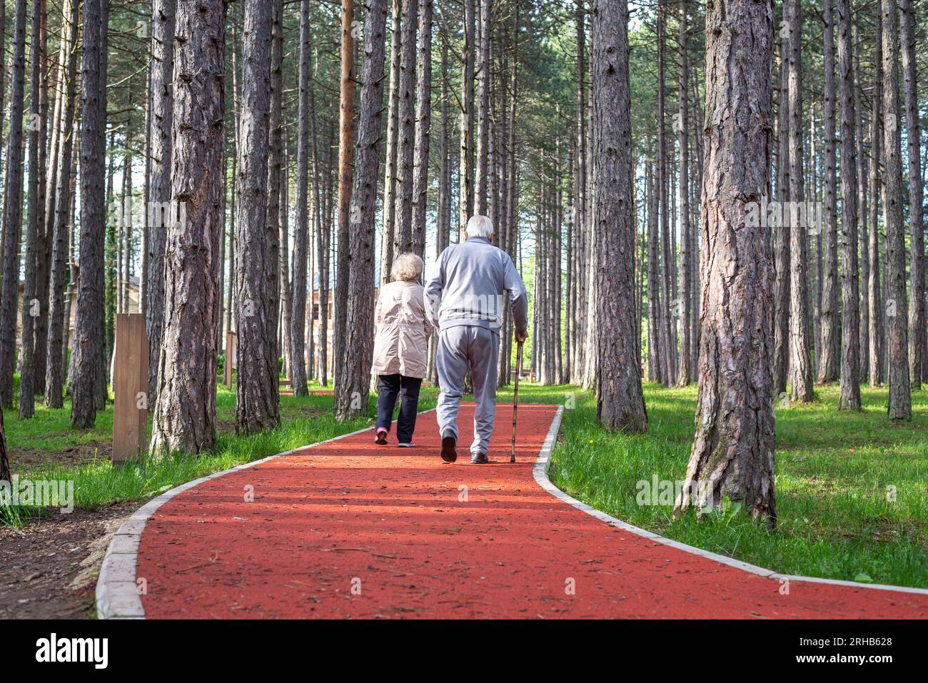 Elderly pair walking on a jogging path that goes through forest Stock ...
