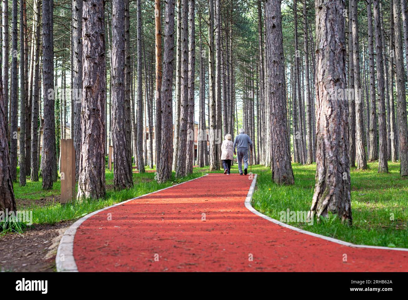 Elderly pair walking on a jogging path that goes through forest Stock ...