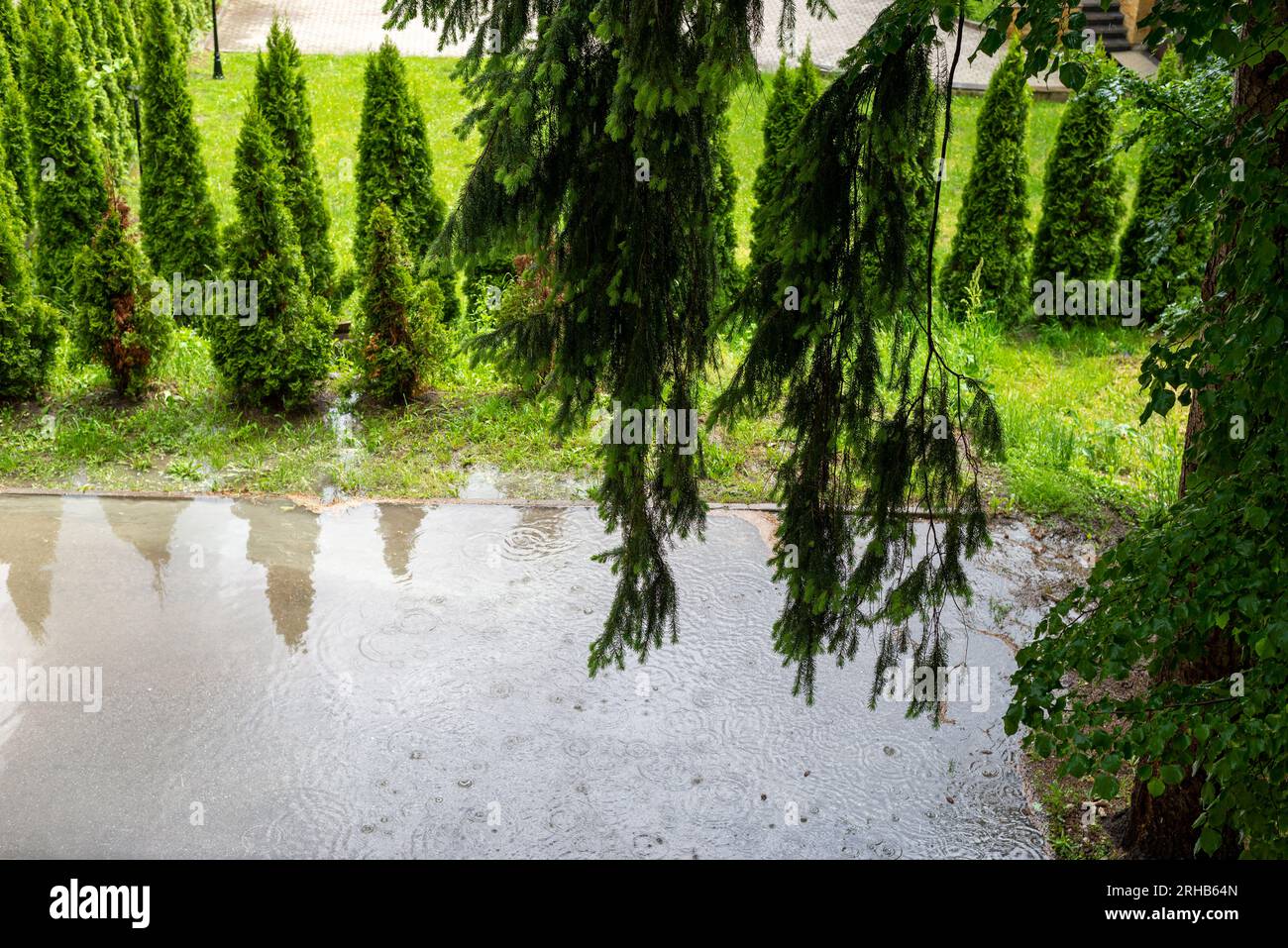 Raindrop circles while raining over a park during the day - detail ...