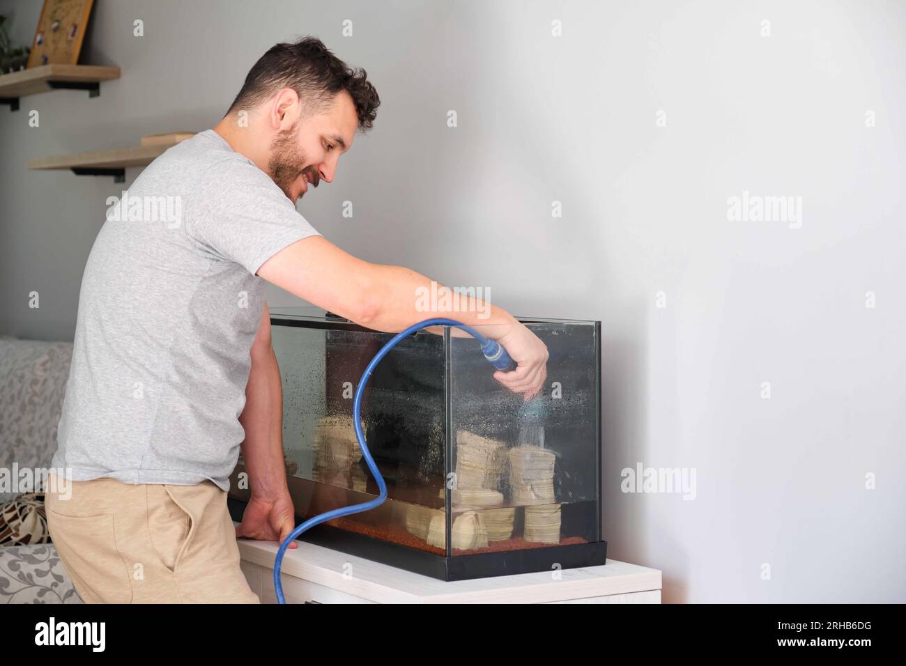 Add fish to aquarium hi-res stock photography and images - Alamy