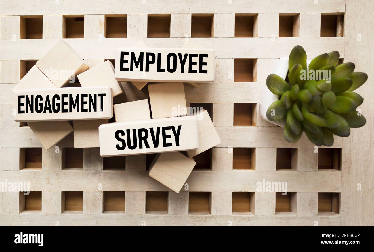 Employee satisfaction survey hi-res stock photography and images - Alamy