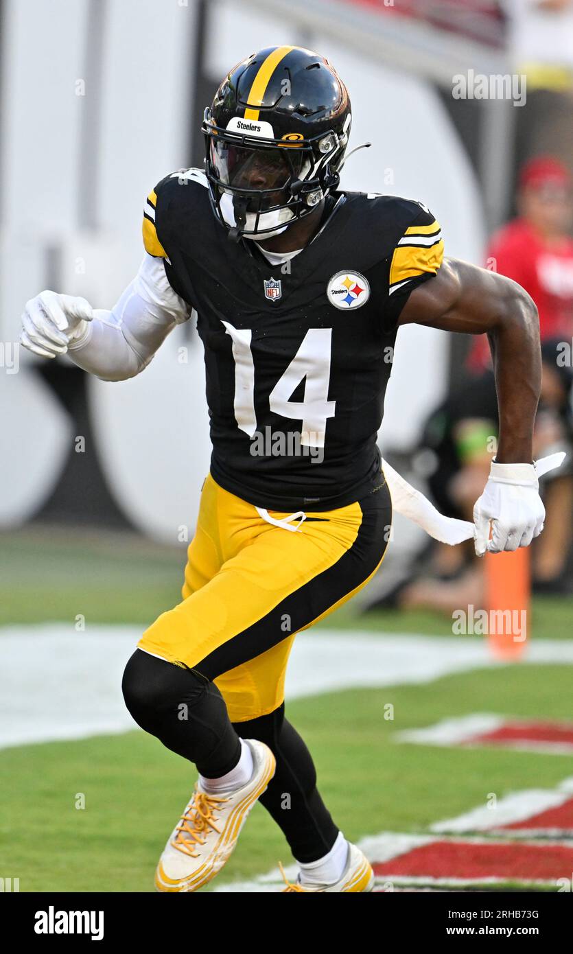 Pittsburgh Steelers wide receiver George Pickens (14) scores against ...