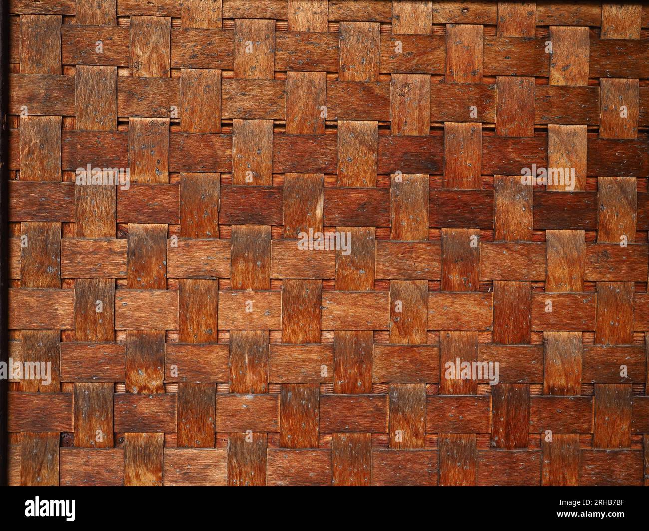 Birch tree balk hi-res stock photography and images - Alamy