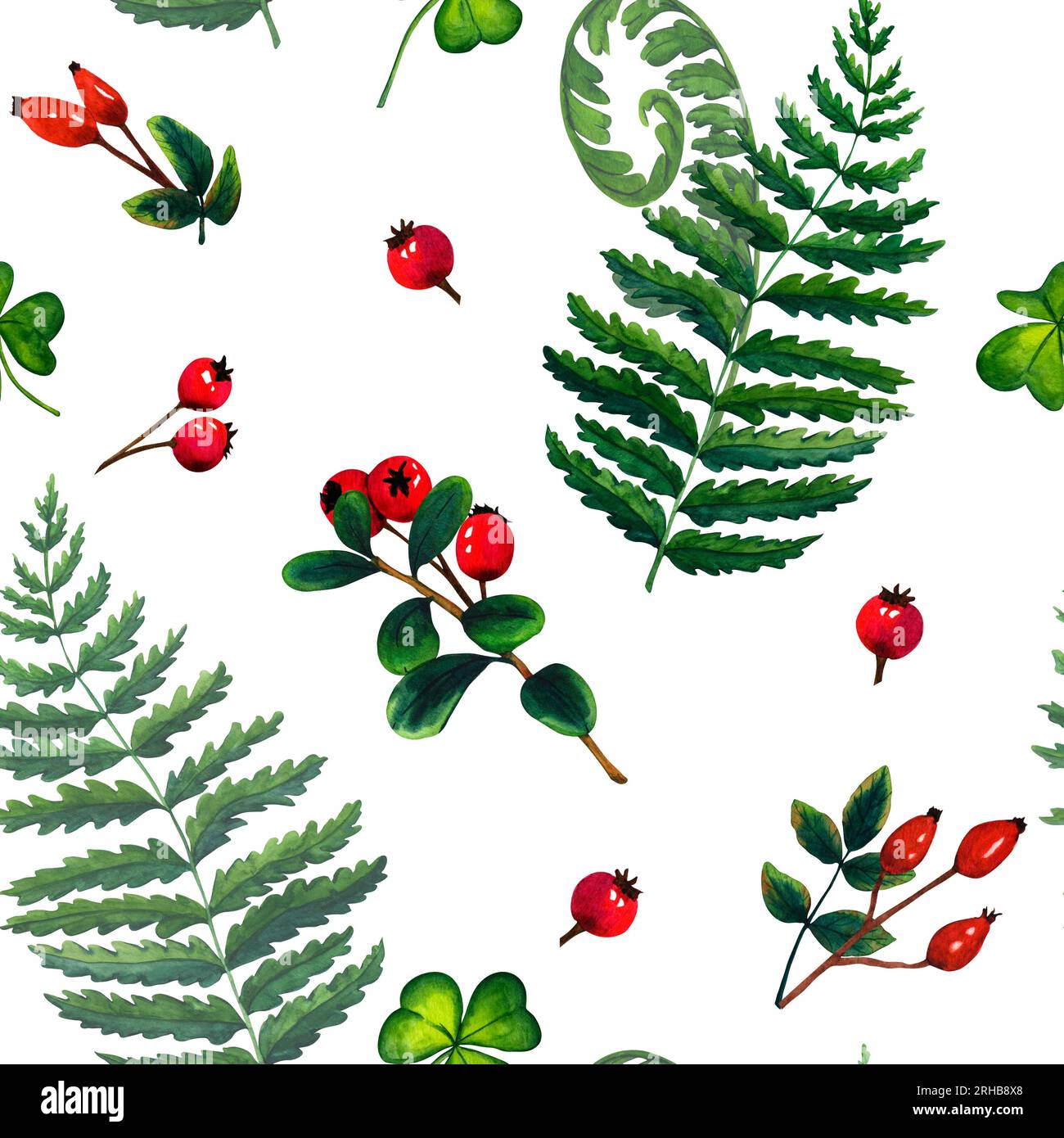 Watercolor seamless pattern wild forest fern and branch red berries ...