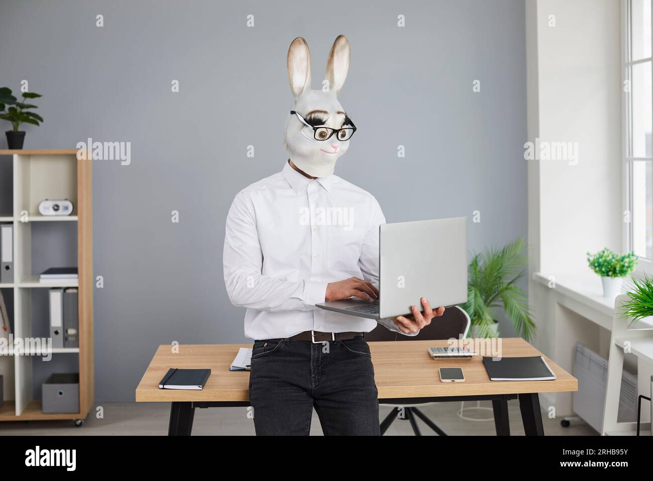 Business man in funny rabbit mask standing in office and working on ...