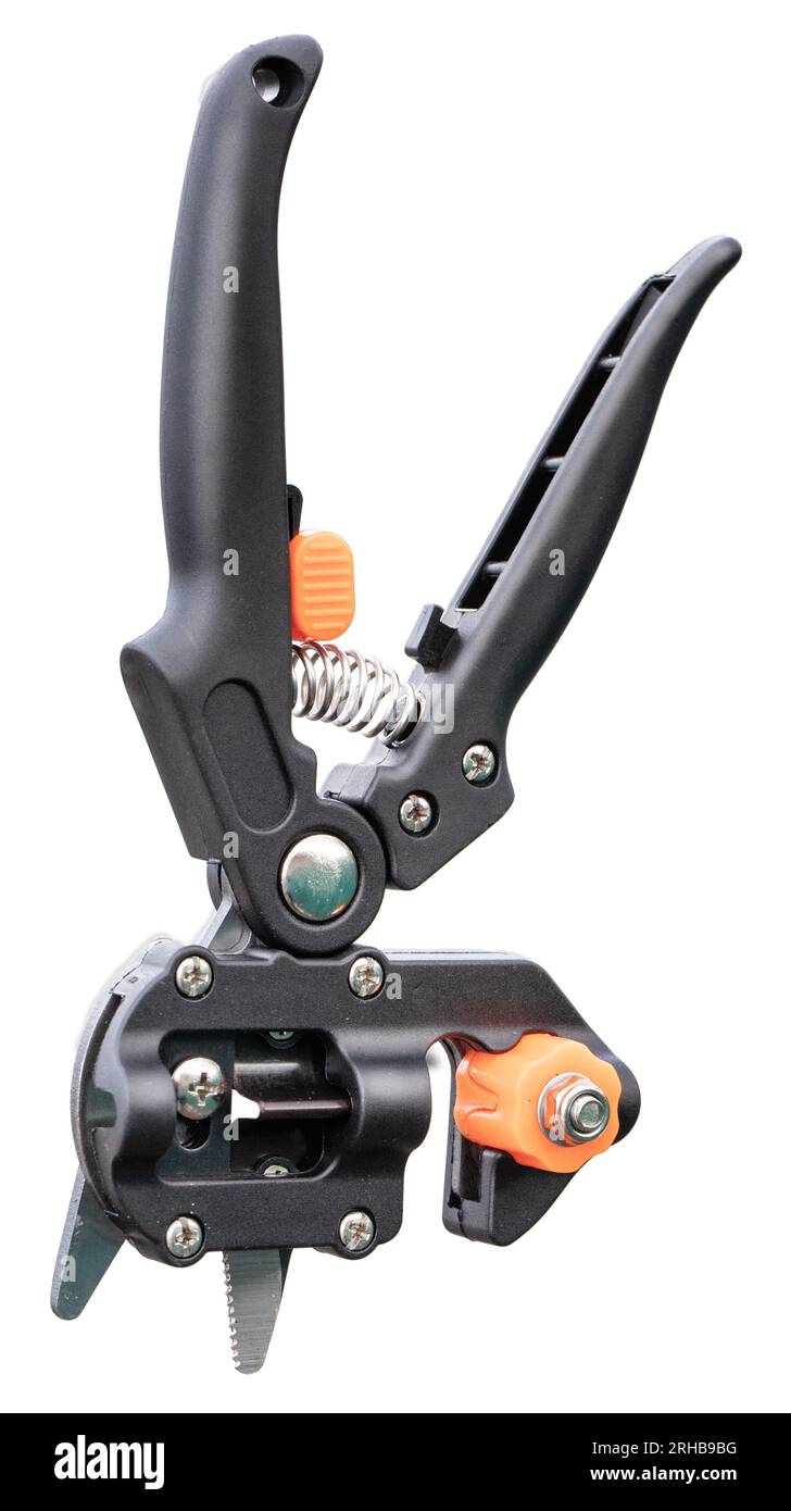 Inoculation of plants. A modern professional tool for grafting various ...