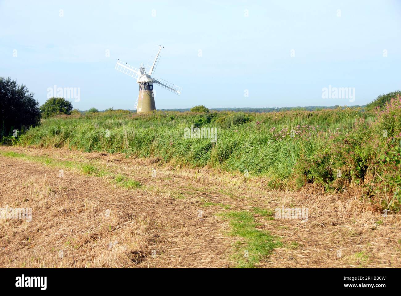 Typical norfolk hi-res stock photography and images - Alamy