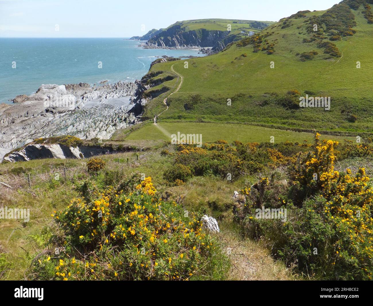 Looking east on the South West Coast path from Bull point, near ...