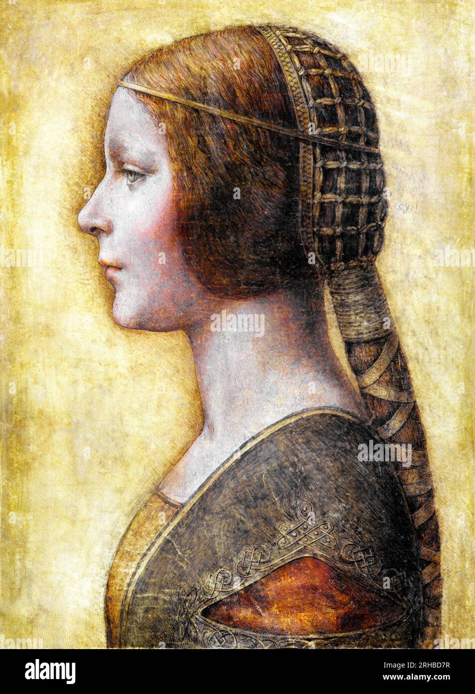 Leonardo da Vinci's Profile of a Young Fiancee famous painting ...