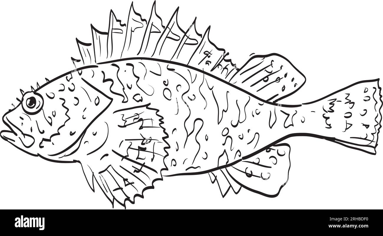 Drawing sketch style illustration of a California scorpionfish side ...