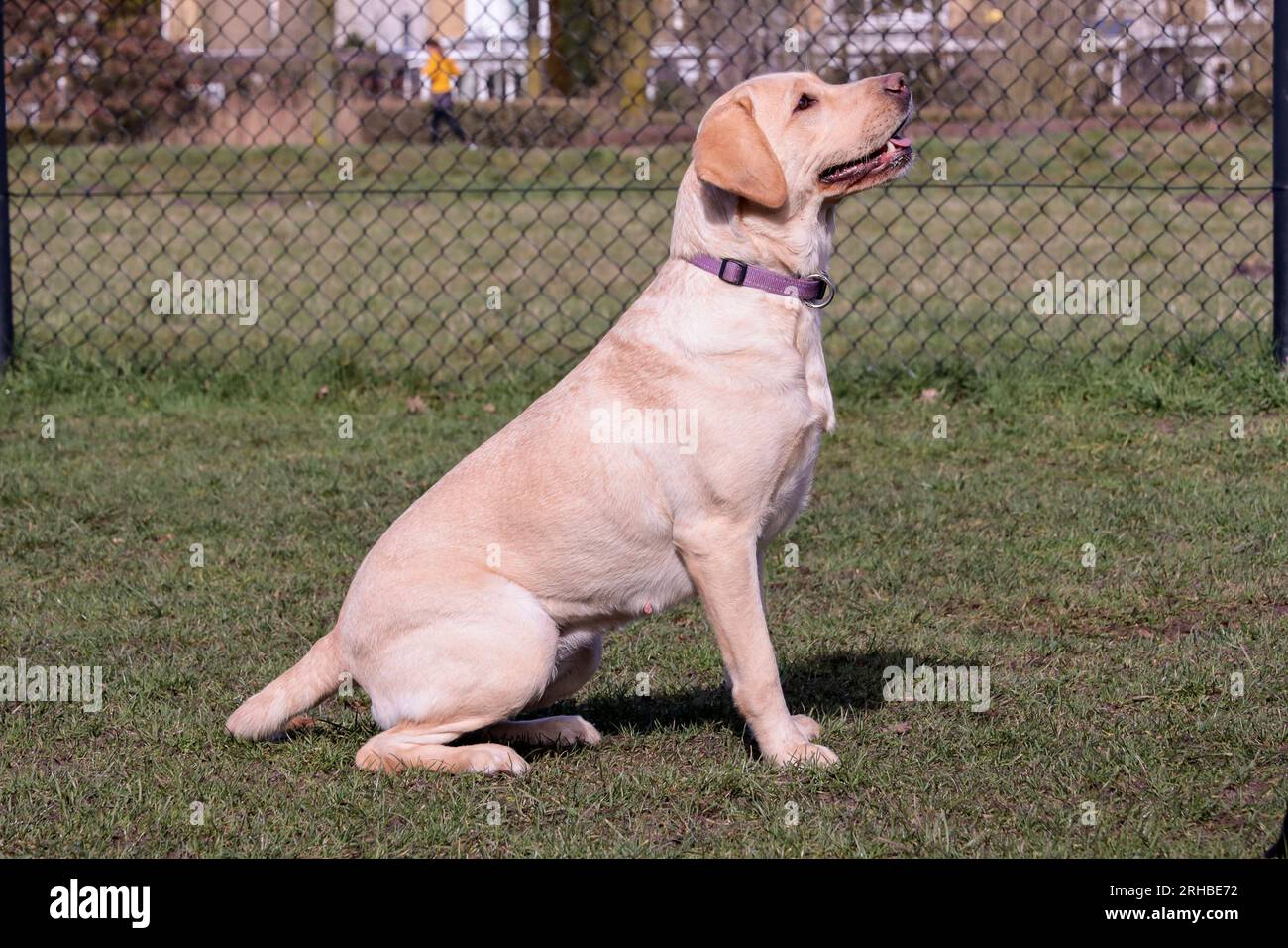 Zit hi-res stock photography and images - Alamy