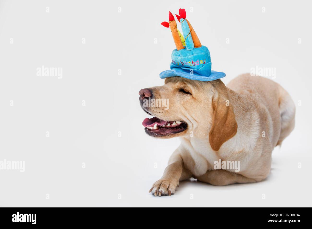Blue party hat hi-res stock photography and images - Alamy