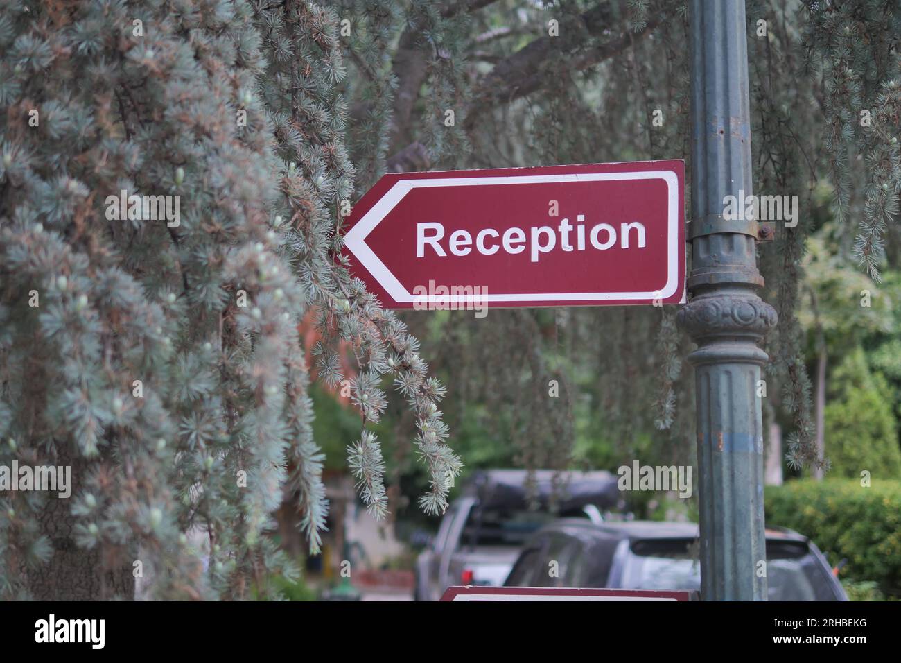white and red direction arrow sign with reception text on it Stock ...