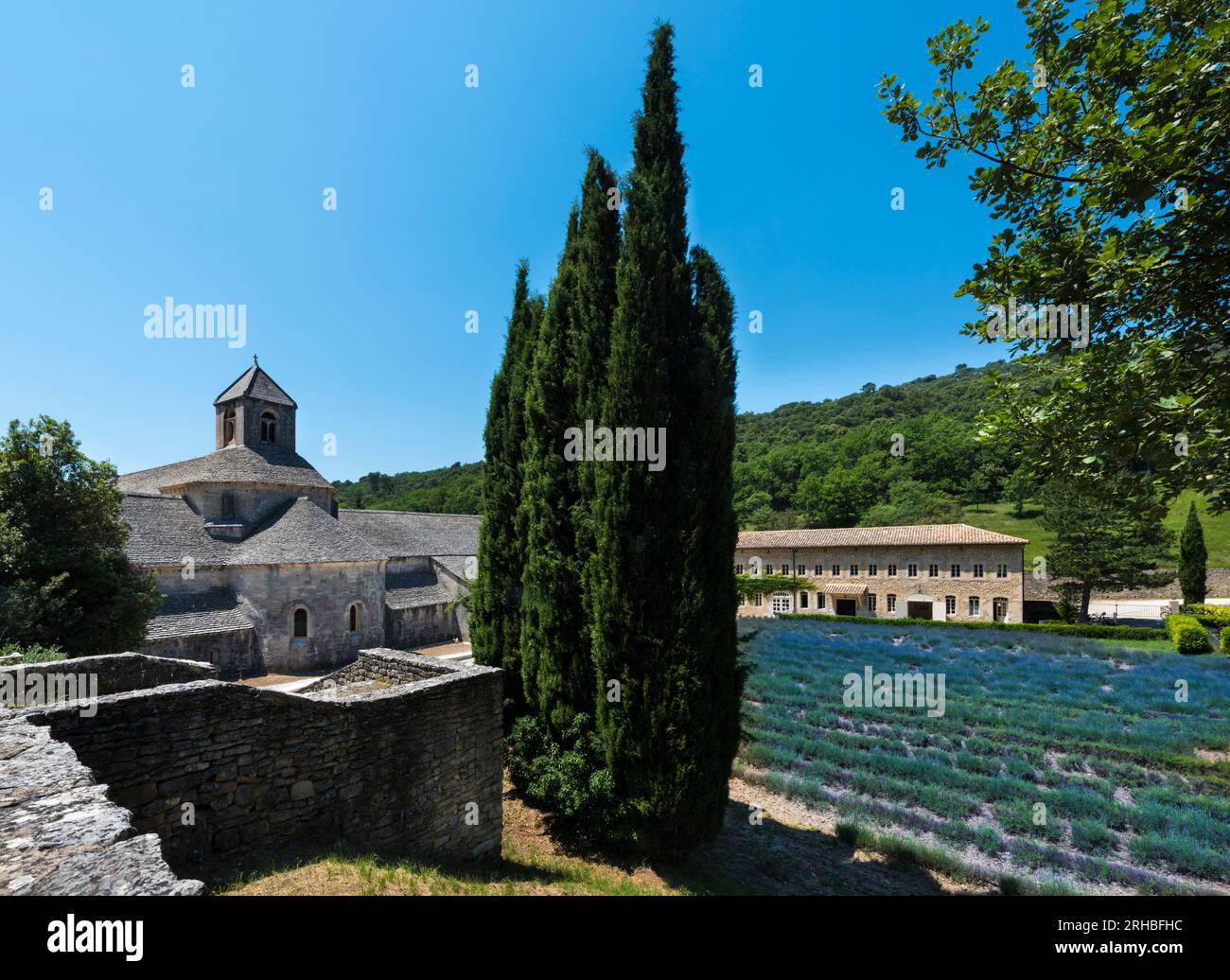 Monastery garden Abbay Notre Dame de Sénanque Gordes Provence France ...