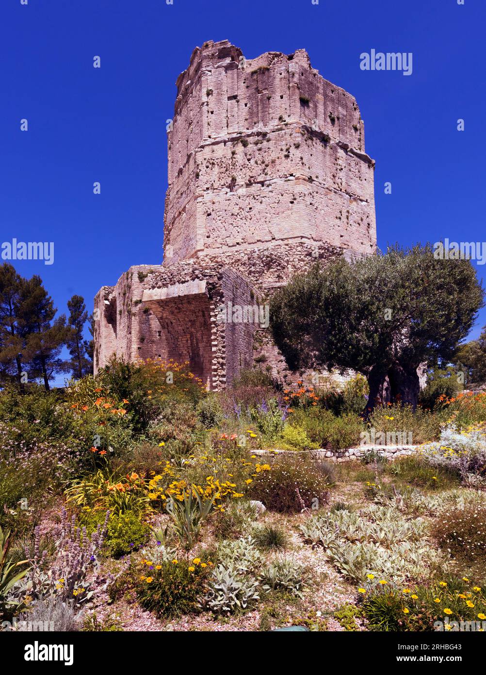 The Roman Tour de Magne, or Magne Tower, in the Jardin de la Fontaine ...