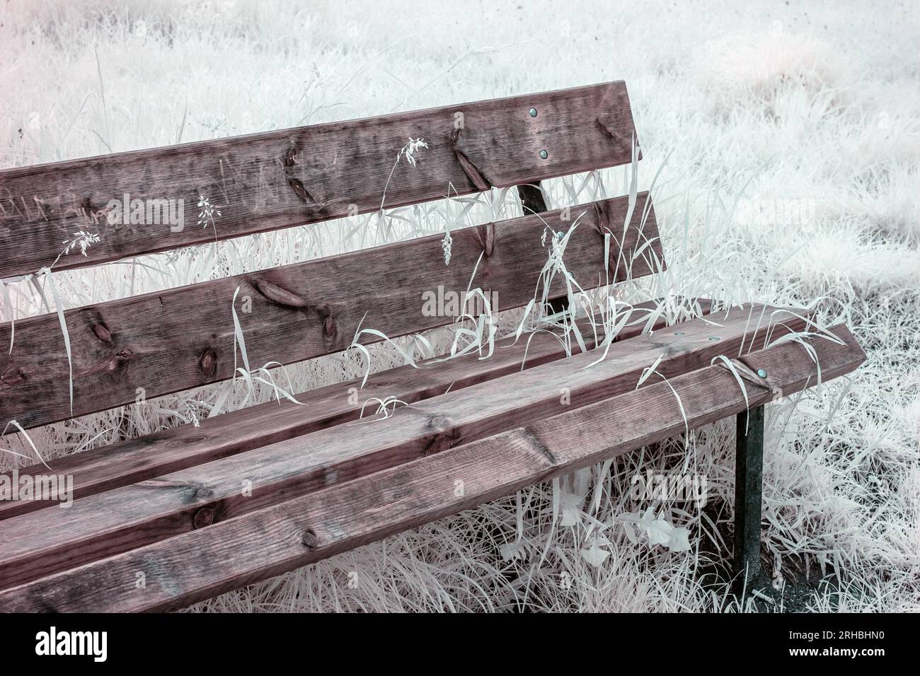 Empty mind hi-res stock photography and images - Alamy