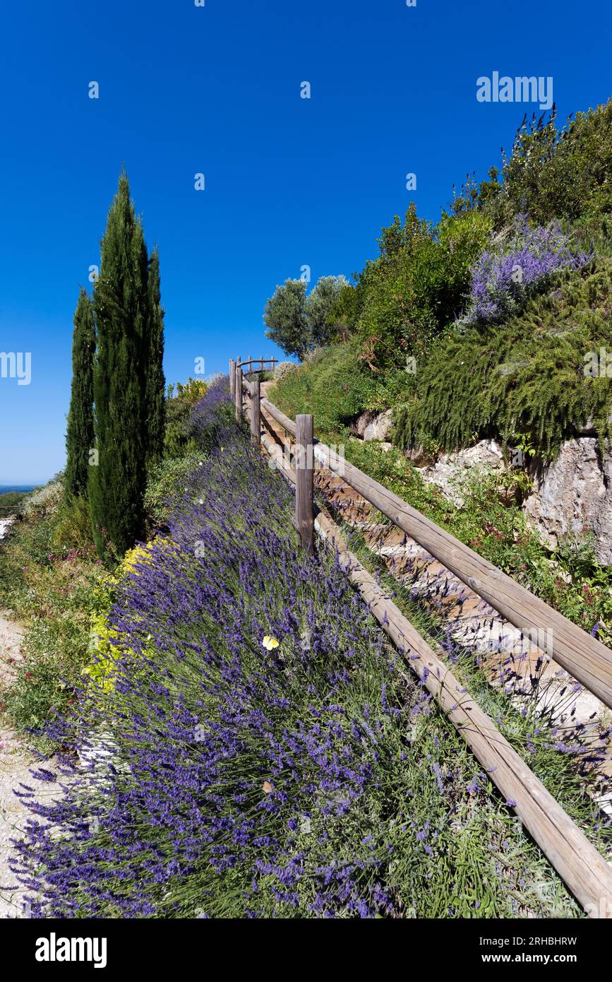 Lavender trail hi-res stock photography and images - Alamy