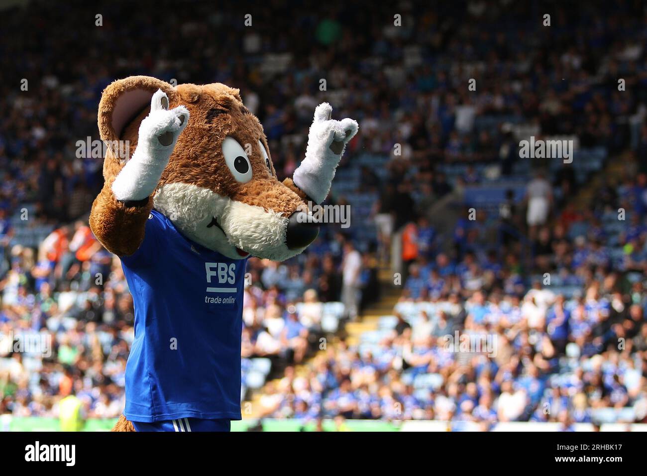 Leicester city mascot hi-res stock photography and images - Alamy