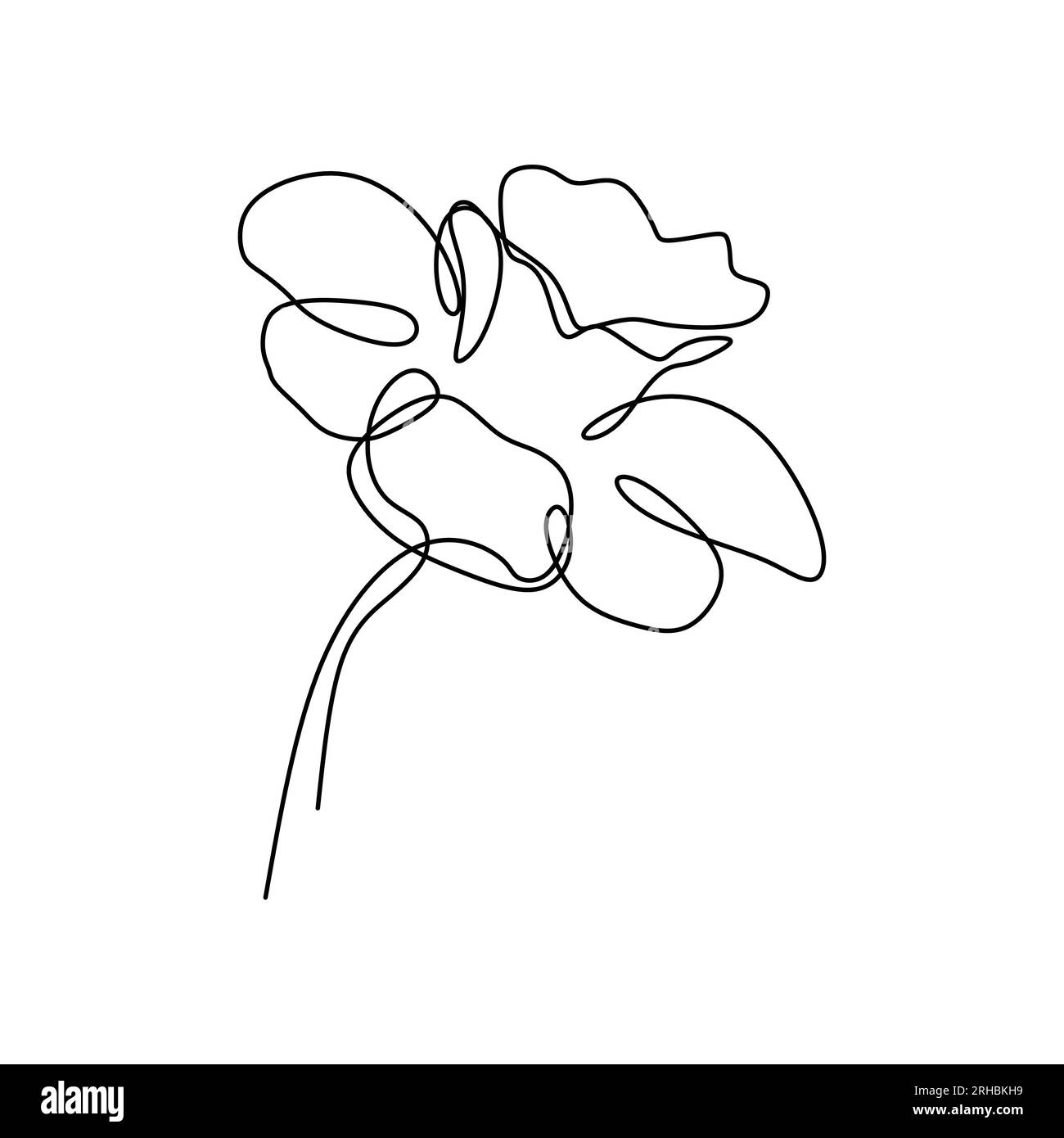 Continuous line art drawing of flower vector illustration. Minimalist ...